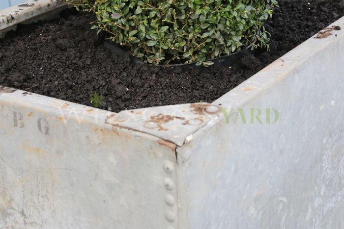 Pair of galvanized tank planters