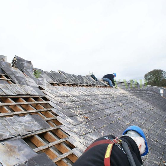Reclaimed Bangor Blue 24 x 14 roof slates (All off one job lot)