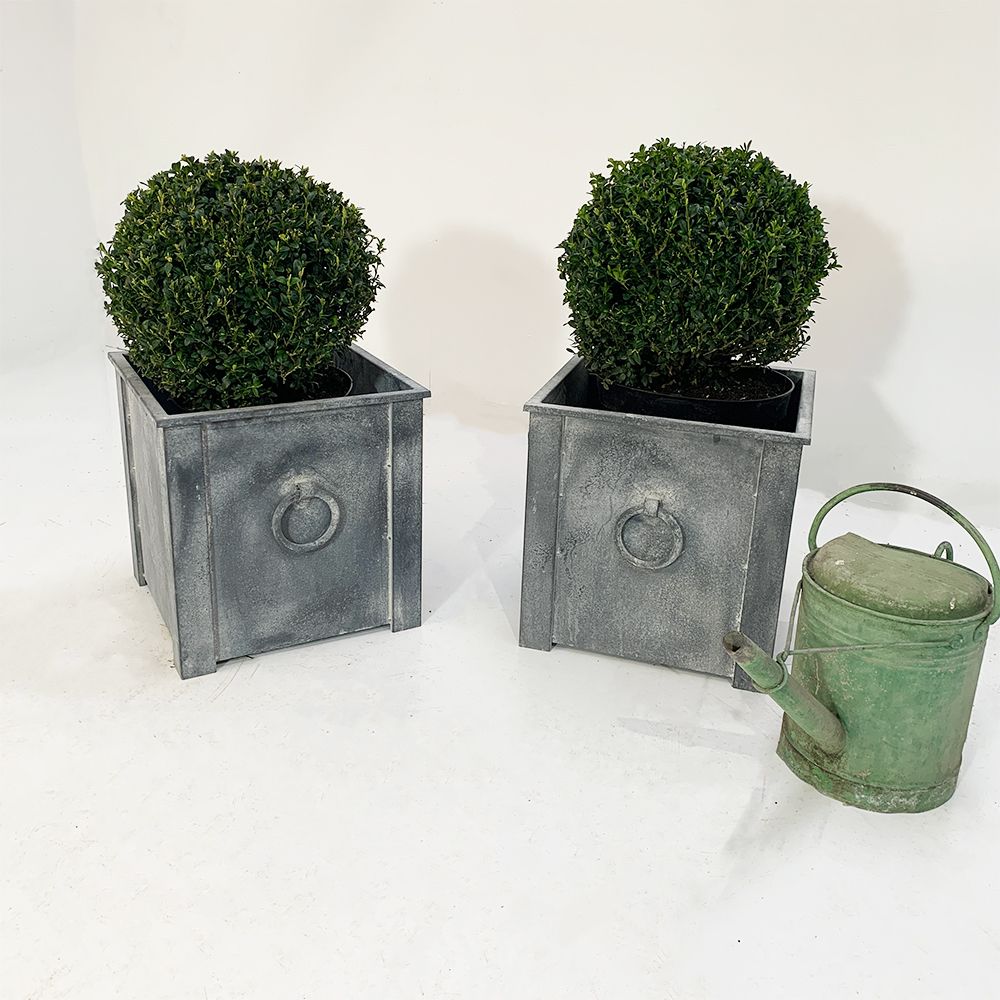 small galvanised planter