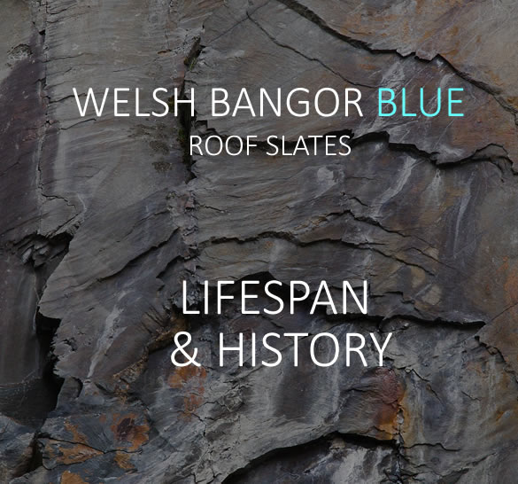 Reclaimed Bangor Blue Slates | Reclaimed Roof Slates | Wilsons Yard